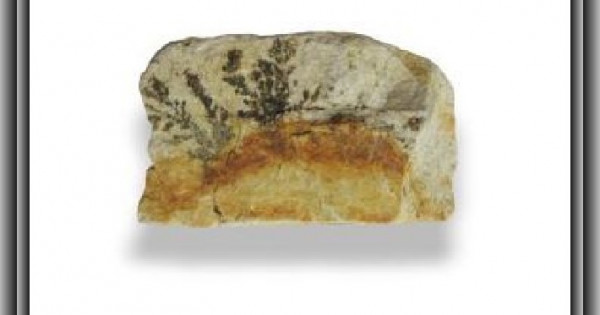 31dedritis-pirolousitis-20-117gr-5x3cm-710x550-600x315w.jpg